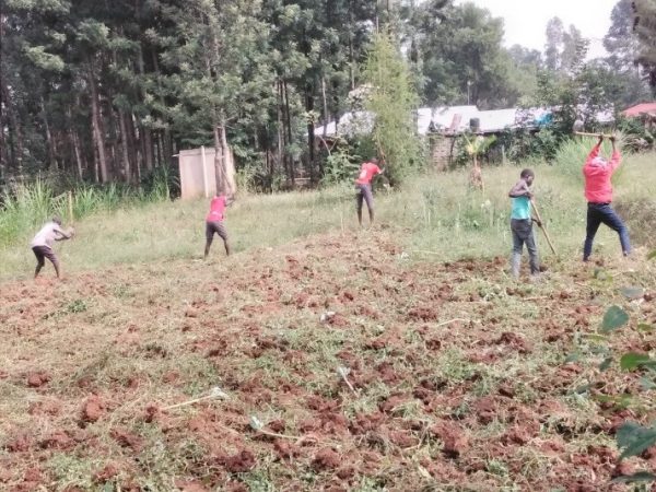 Model Farm: Setting up model farms and plots. - Kataru Concepts